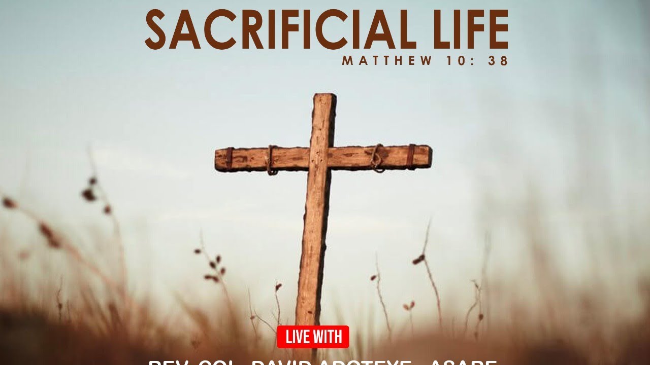 No matter what our title, we are called to serve – Thankful in all Things